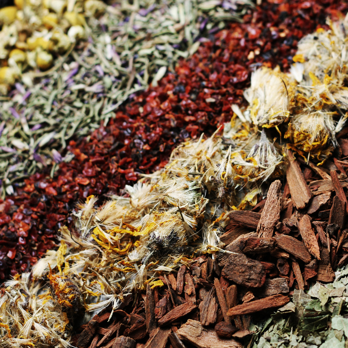 The Silk Road Spice Merchant