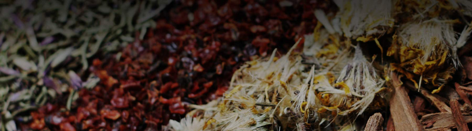 About Us - The Silk Road Spice Merchant